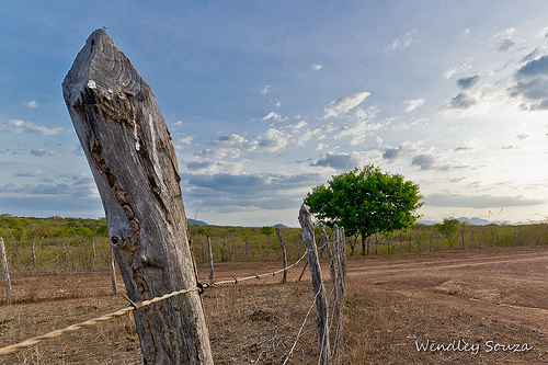 Sensação Térmica de COREAU - CE agora