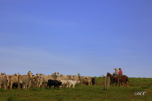 Sensação Térmica de TAPIRA - PR agora